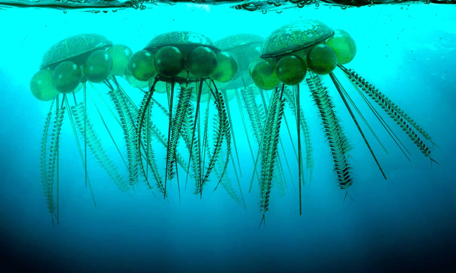 The 6 Largest Extinction Events on Earth and When They Occurred - A-Z ...