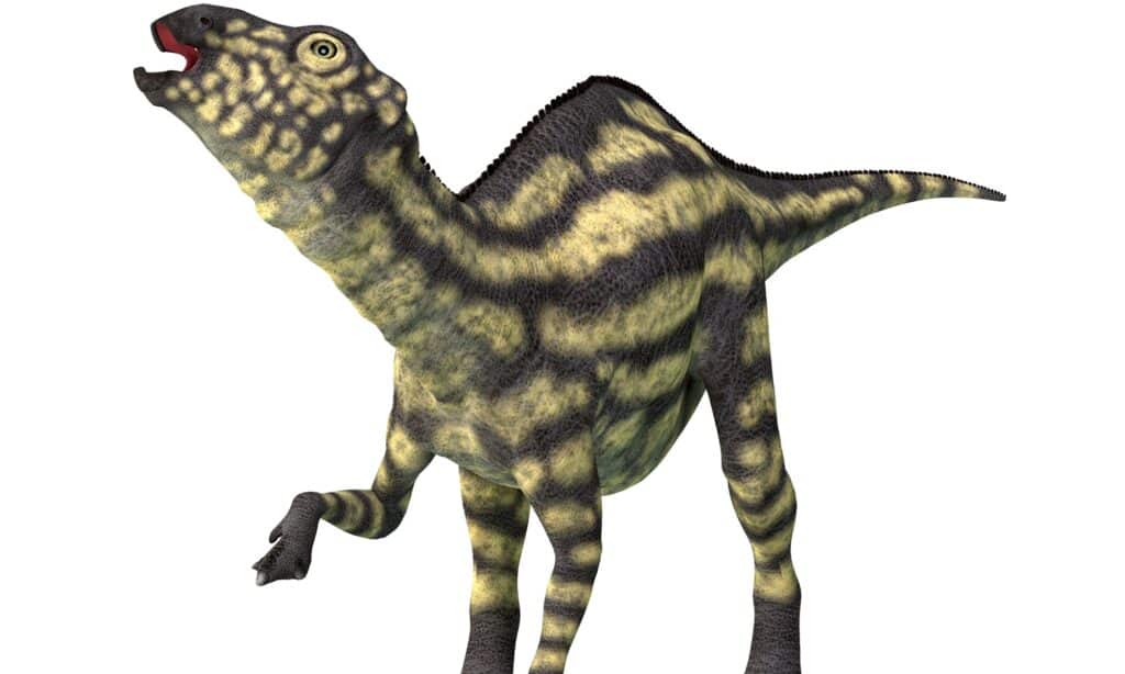 3 Dinosaurs That Lived in South Carolina (And Where To See Fossils ...