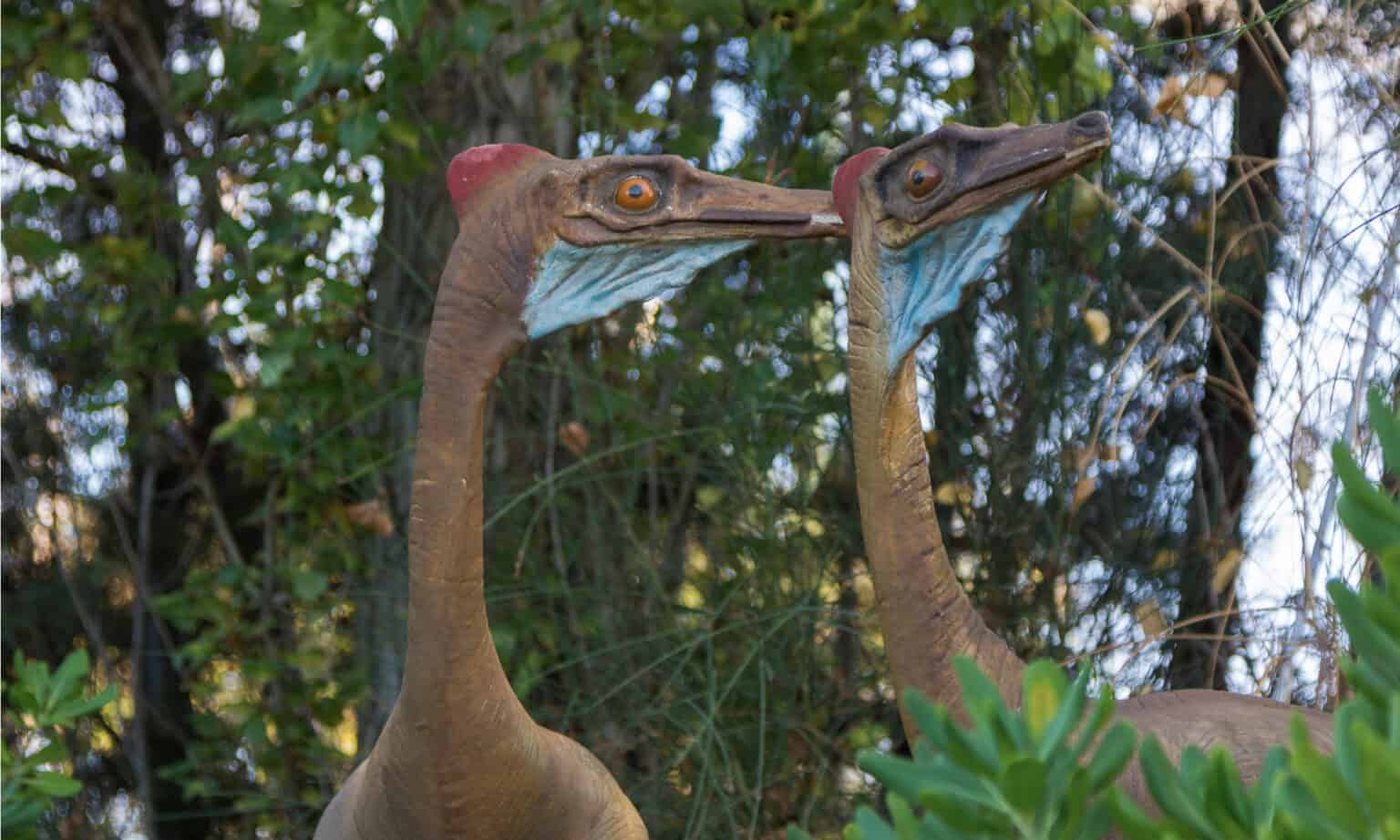 Meet The Ancient Ostrich Dinosaur That Stood 7 Feet Tall - A-Z Animals