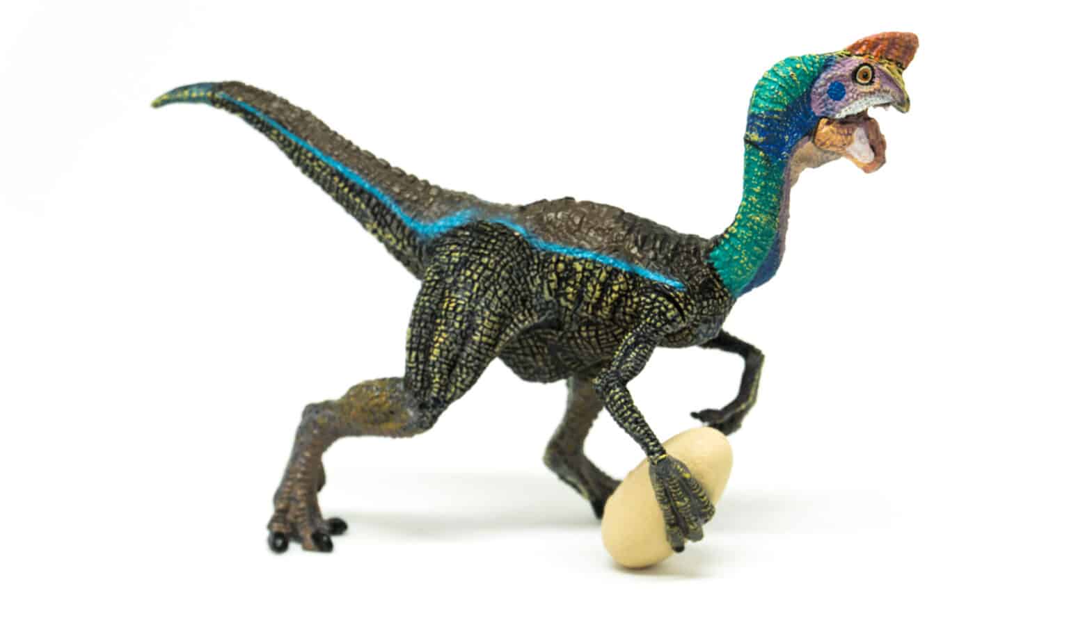 Oviraptor Animal Facts - A-Z Animals