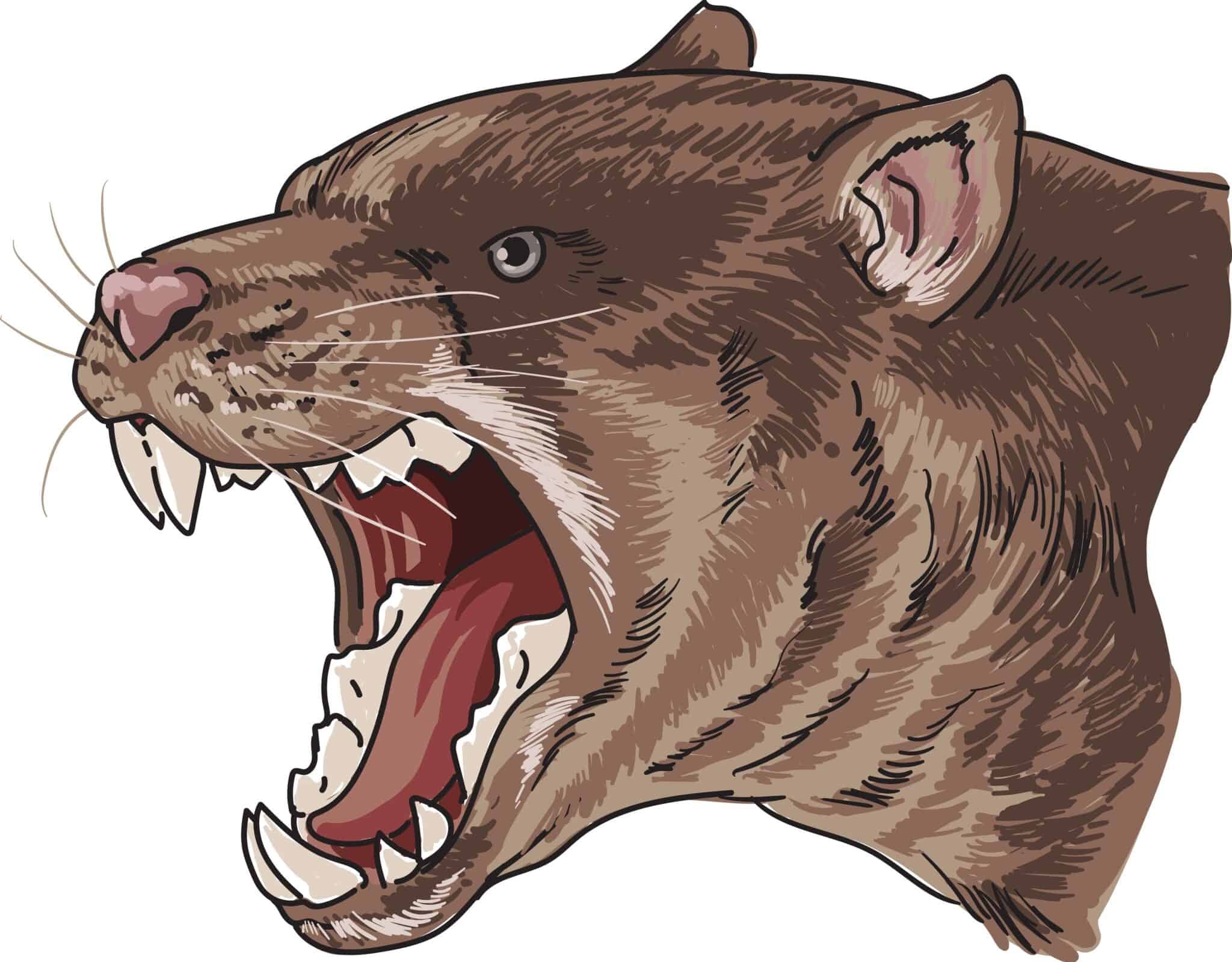 This Animal Had the Strongest Bite Force of Any Mammal Ever - A-Z Animals