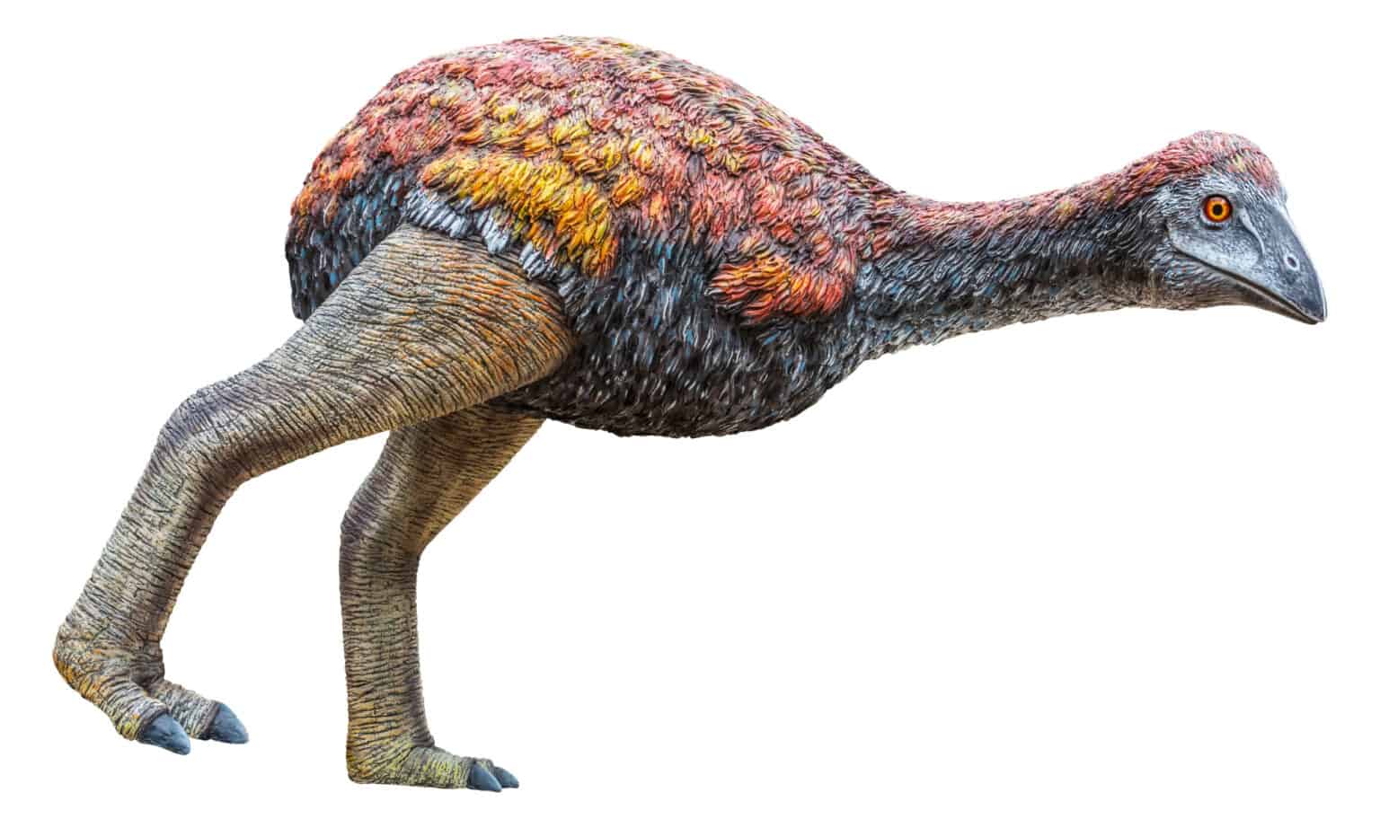 10 Flightless Birds That Are Extinct - A-Z Animals