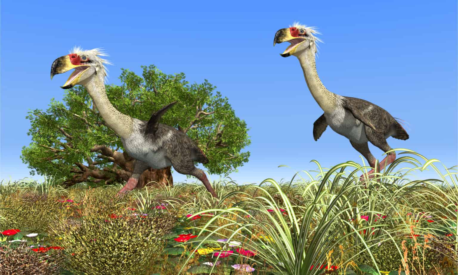This "Terror Bird" Dinosaur Ran Faster Than Any Human - A-Z Animals