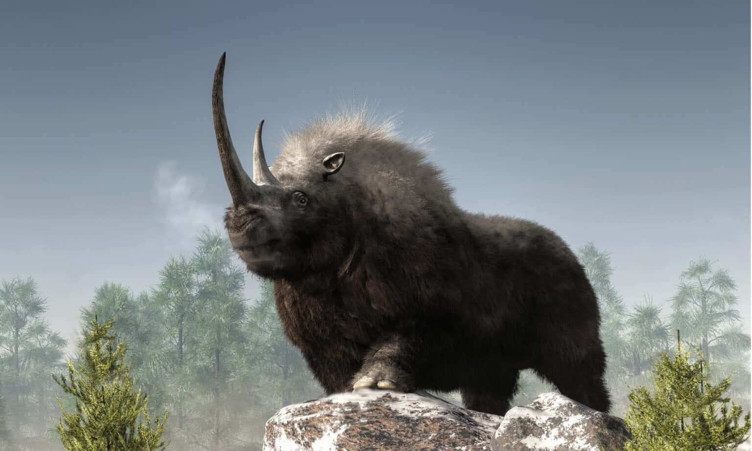 Discover the 6,000lb Woolly Rhinoceros With a Deadly 5ft Horn - A-Z Animals