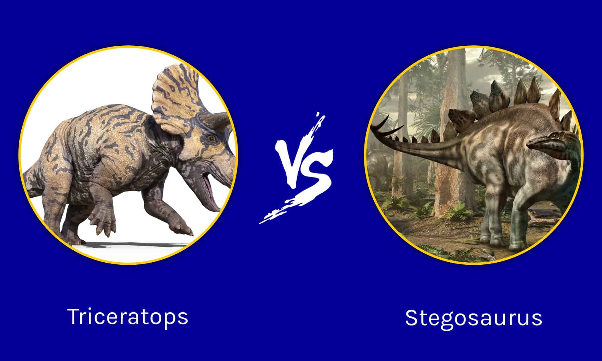 Triceratops vs Stegosaurus: Who Would Win in a Fight? - A-Z Animals