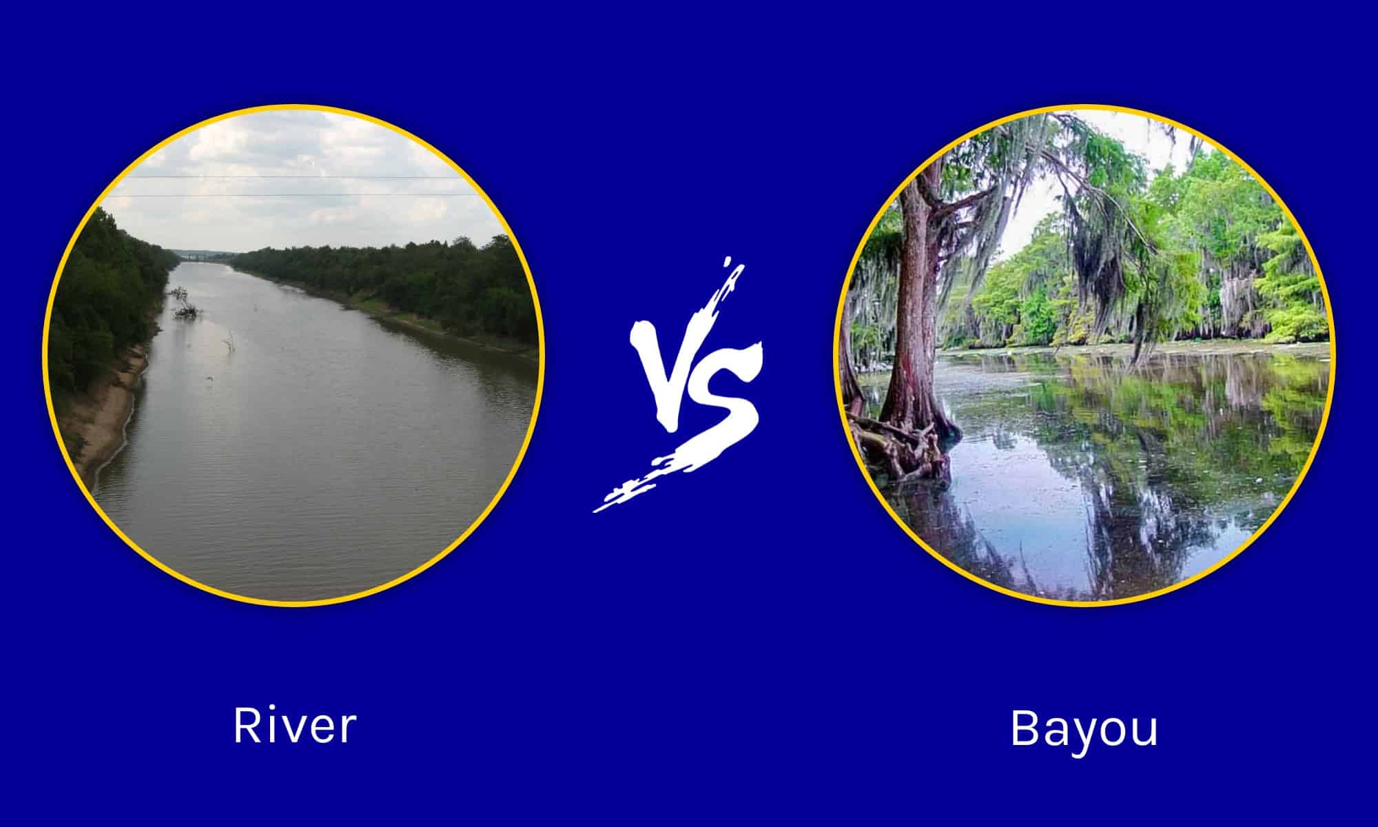 River vs Bayou: What's the Difference? - A-Z Animals