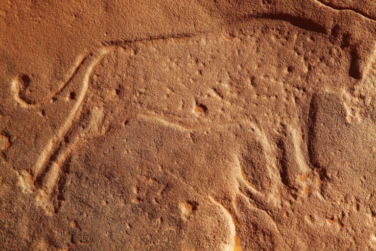 The Largest Ever Feline Predator Was an 800lb Ice Age Monster - A-Z Animals