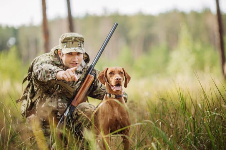 Deer Season In Hawaii: Everything You Need To Know To Be Prepared - A-Z ...