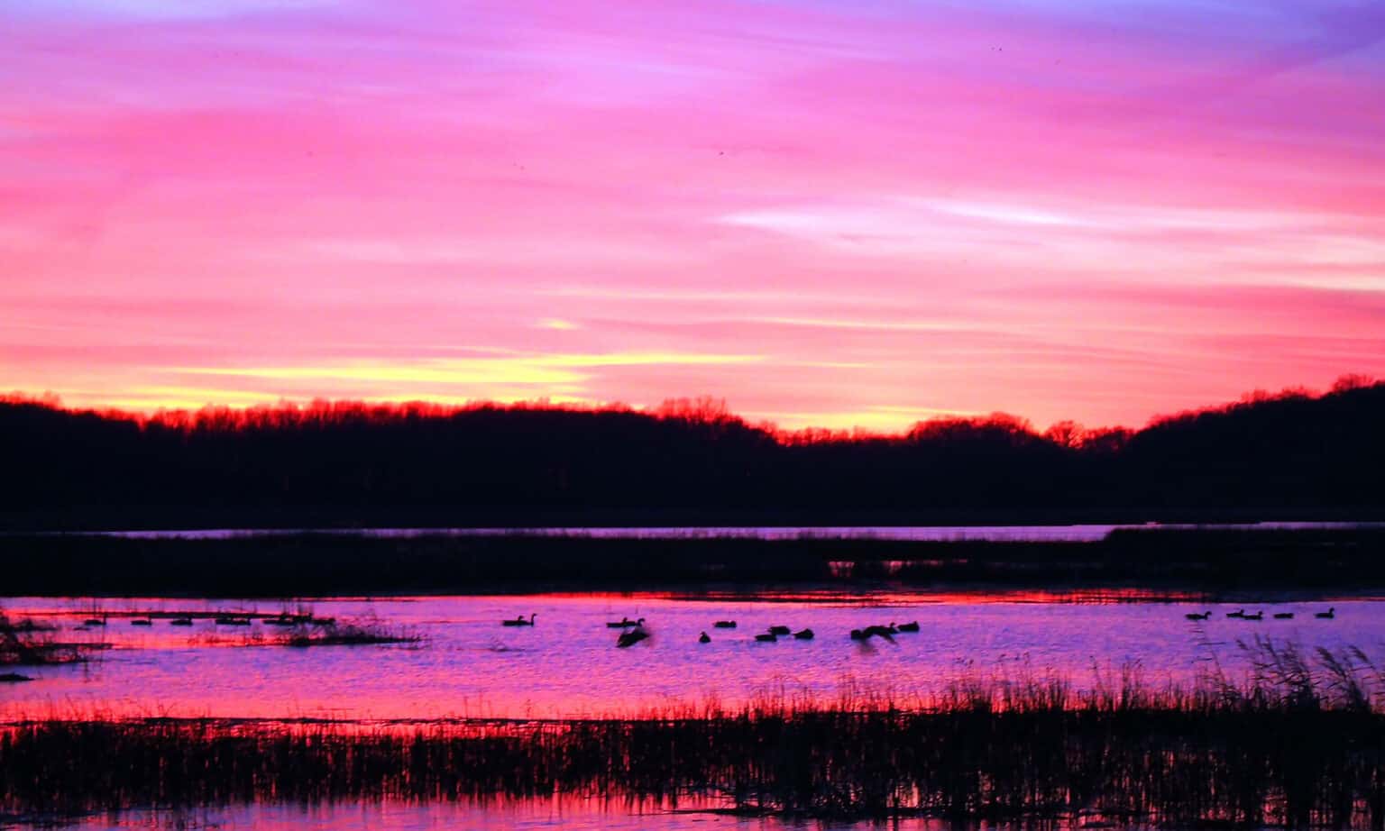 Discover the Deepest Lake in Delaware - A-Z Animals