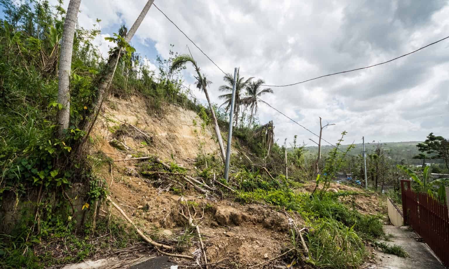 What is a Mudslide and How Are They Caused? - A-Z Animals
