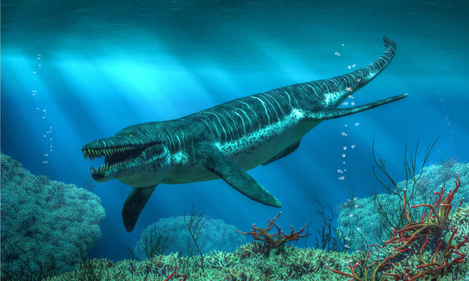 10 Extinct Creepy Sea Animals (With Photos) - A-Z Animals