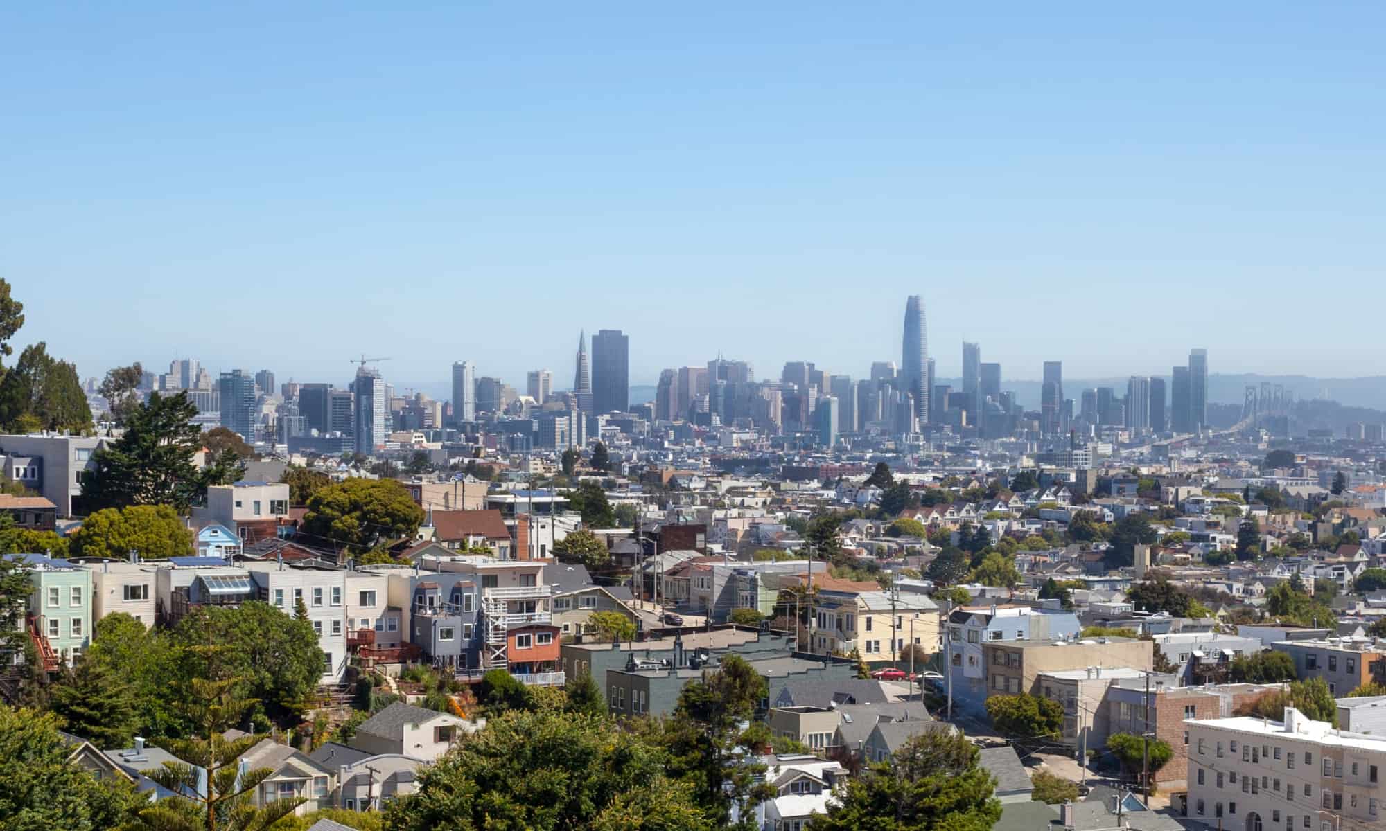 Discover the 10 Most Rat Infested Cities in the United States - A-Z Animals