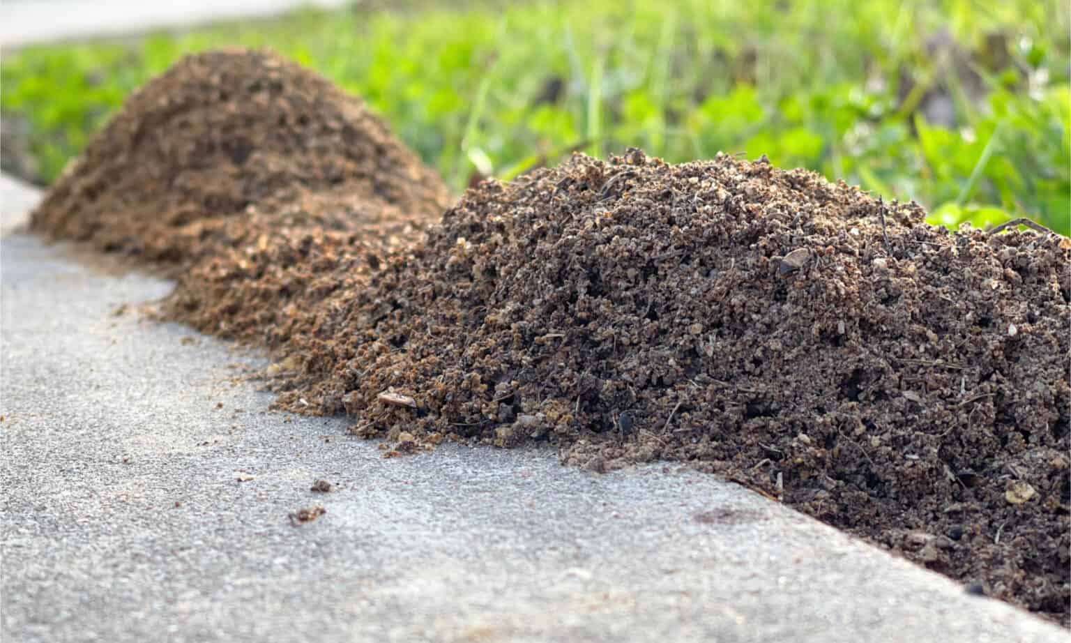 Fire Ant Mound vs Regular Ant Mound: What are the Differences? - A-Z ...