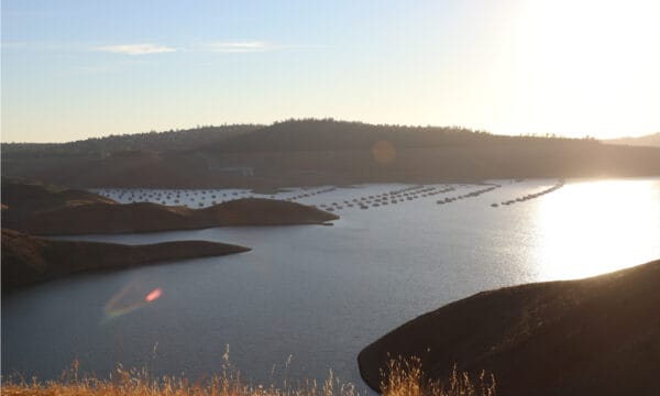 What Is the Oroville Dam and Why Is It So Huge? - A-Z Animals