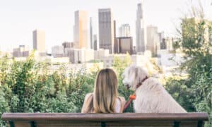 Discover the 10 Most Rat Infested Cities in the United States - A-Z Animals