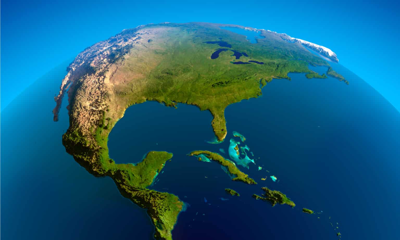 What Lives At The Bottom of The Bermuda Triangle? - A-Z Animals