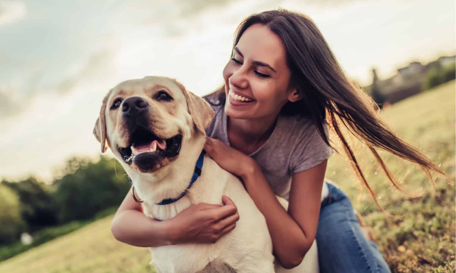 Can Dogs Understand English? - A-Z Animals