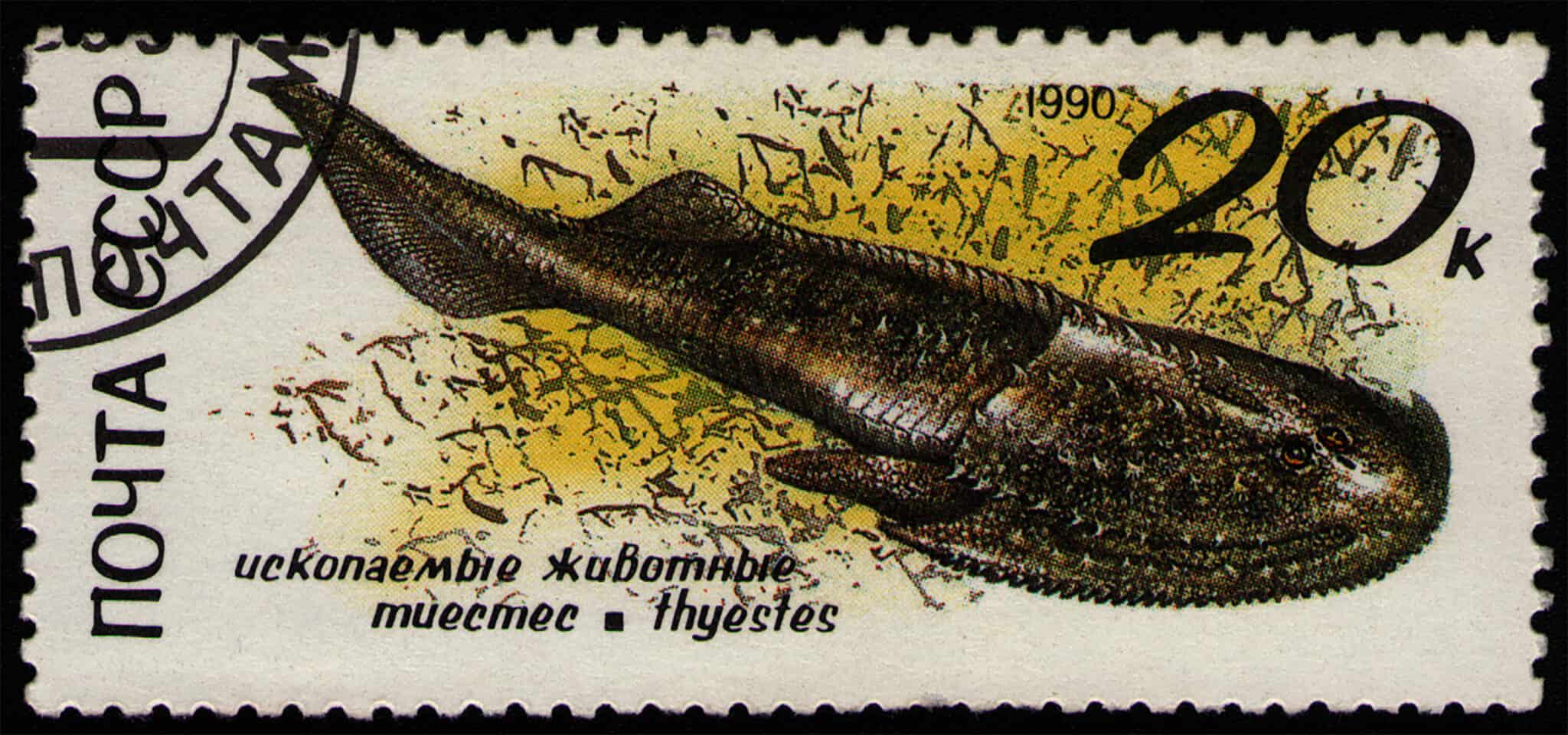 Discover The Ancient Creature That Hunts Like a Shark and 'Vacuumed' It ...