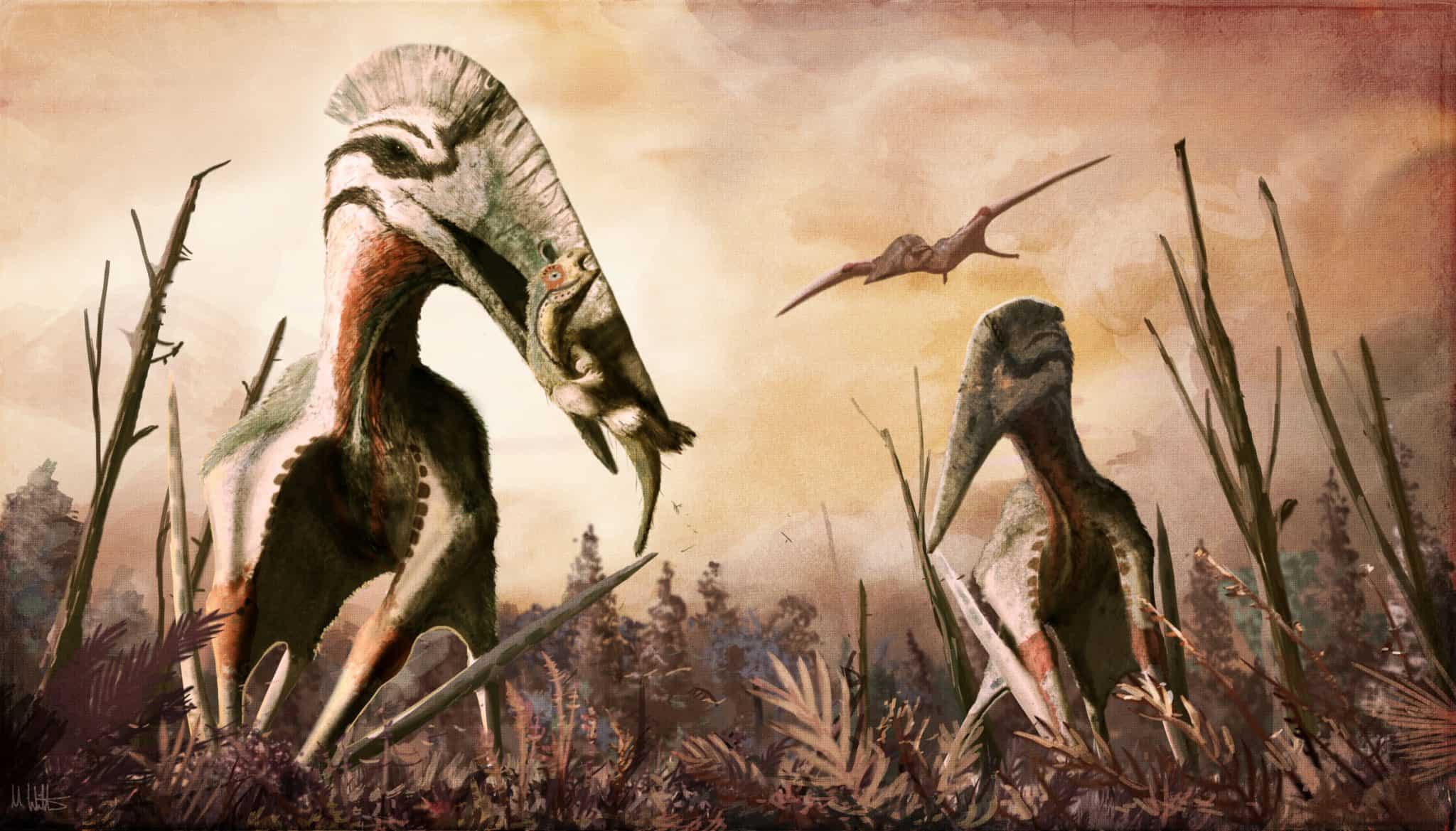 Pterosaurs With Wingspans Wider Than an F-16 Are the Largest "Flying ...