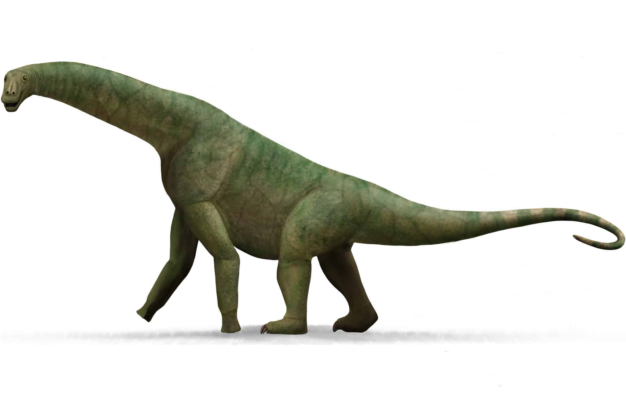 Discover the 27 Dinosaurs That Start With I - A-Z Animals