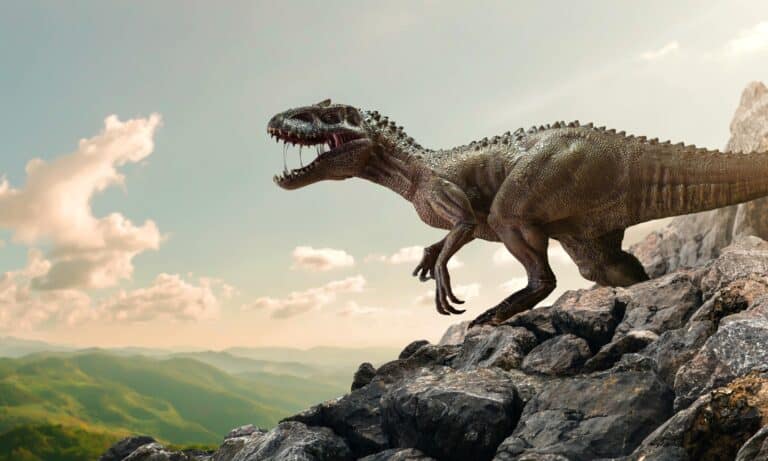Discover 11 Meat-Eating Dinosaurs - A-Z Animals