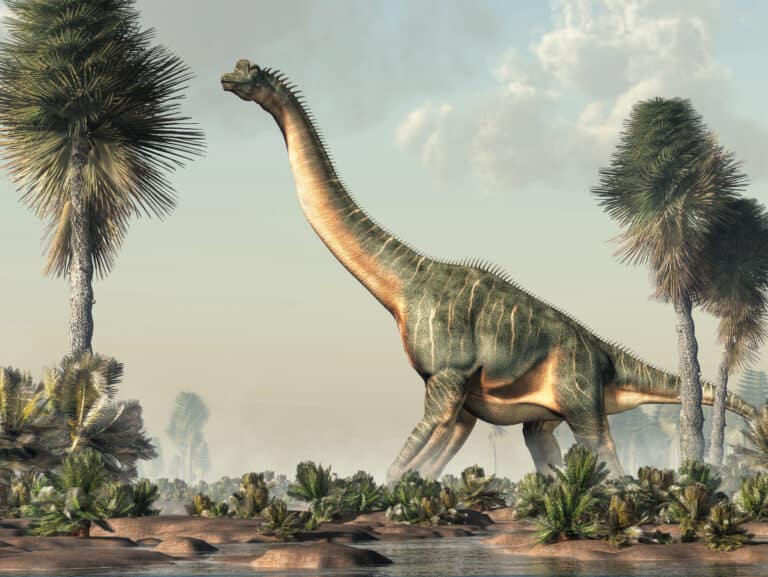 The Cretaceous Period: Major Events, Animals, and When It Lasted - A-Z ...