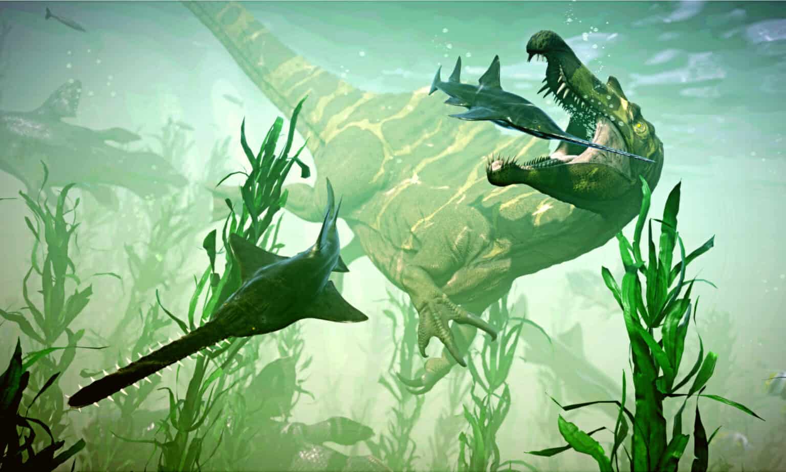 Chimaera Fish Facts - Chimaeraformes - A-Z Animals