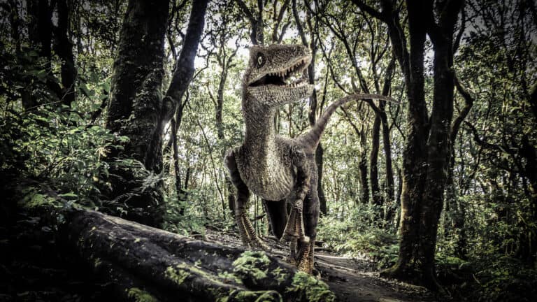 Discover the Biggest Velociraptor Ever Found - A-Z Animals