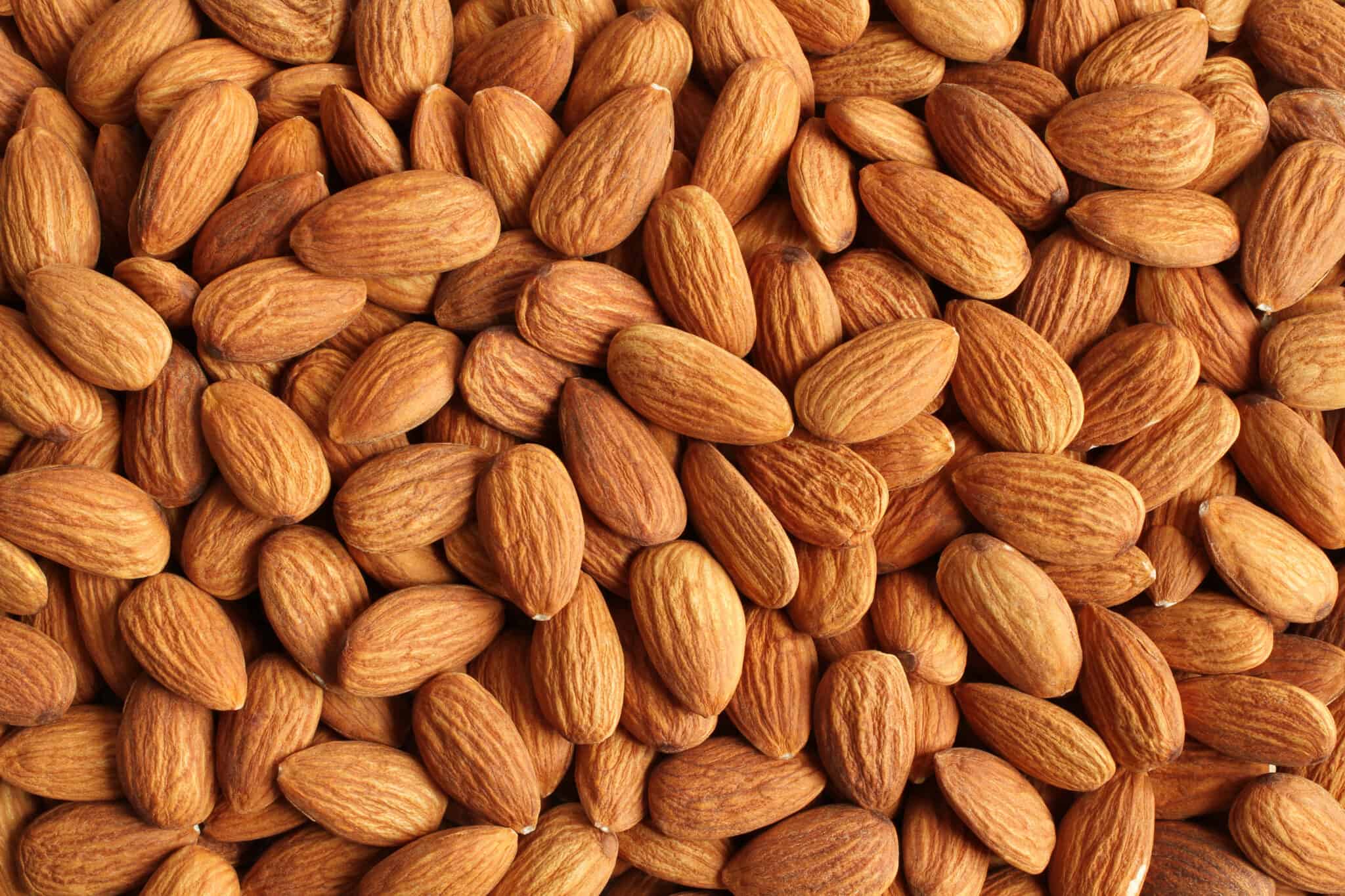 4 Nuts Your Dogs Can Eat Safely, and 5 They Should Avoid - A-Z Animals