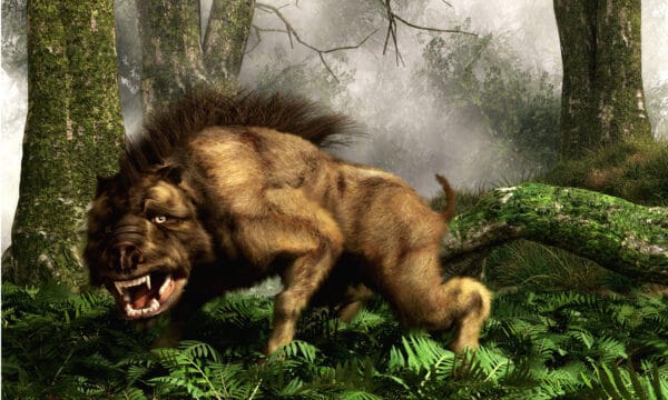 Daeodon Animal Facts - Daeodon - A-Z Animals