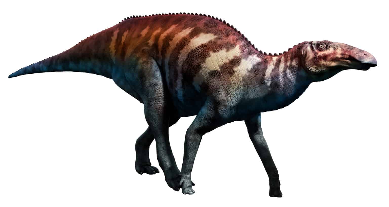 Meet the Ankylosaurus - The Dinosaur with a Club Tail - A-Z Animals
