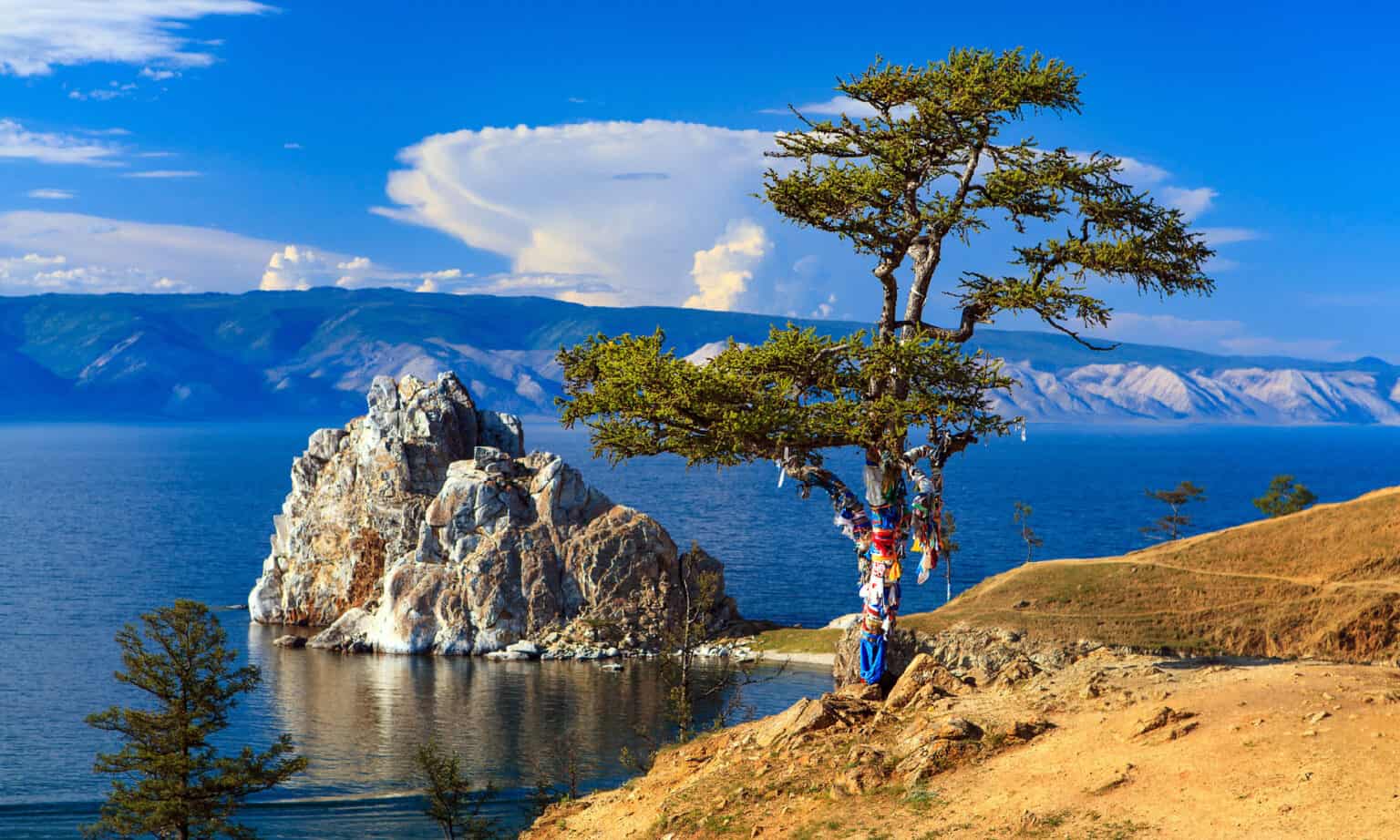 The Diverse Ecosystems That Make Asia Extraordinary - A-Z Animals