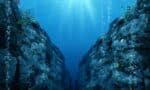 What Lives At The Bottom of Challenger Deep? - AZ Animals