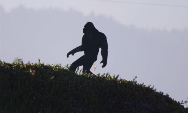 12 Ohio Cryptids: Appearance, Behavior, and Location - A-Z Animals