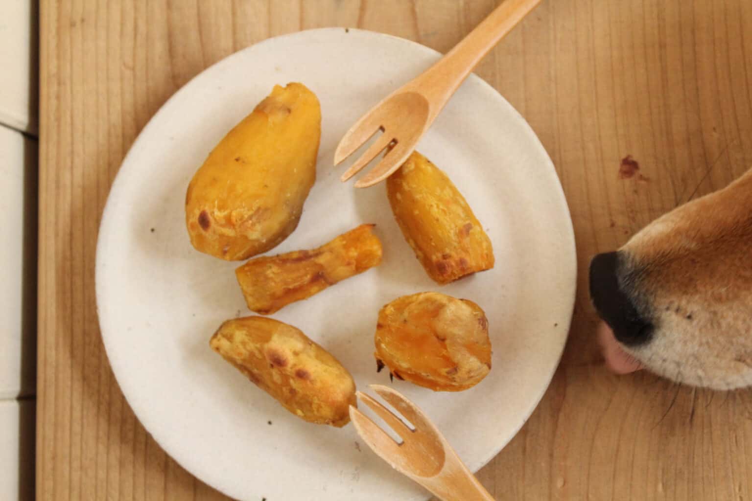 11 Vegetables That Are Safe For Dogs To Eat - A-Z Animals