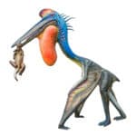 This Prehistoric Transylvanian Flying Predator Was Stunning - A-Z ...