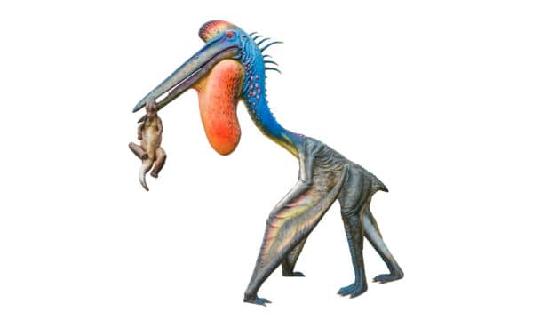 With a 9-Foot Head and 36-Foot Wingspan, This Flying Predator Was ...