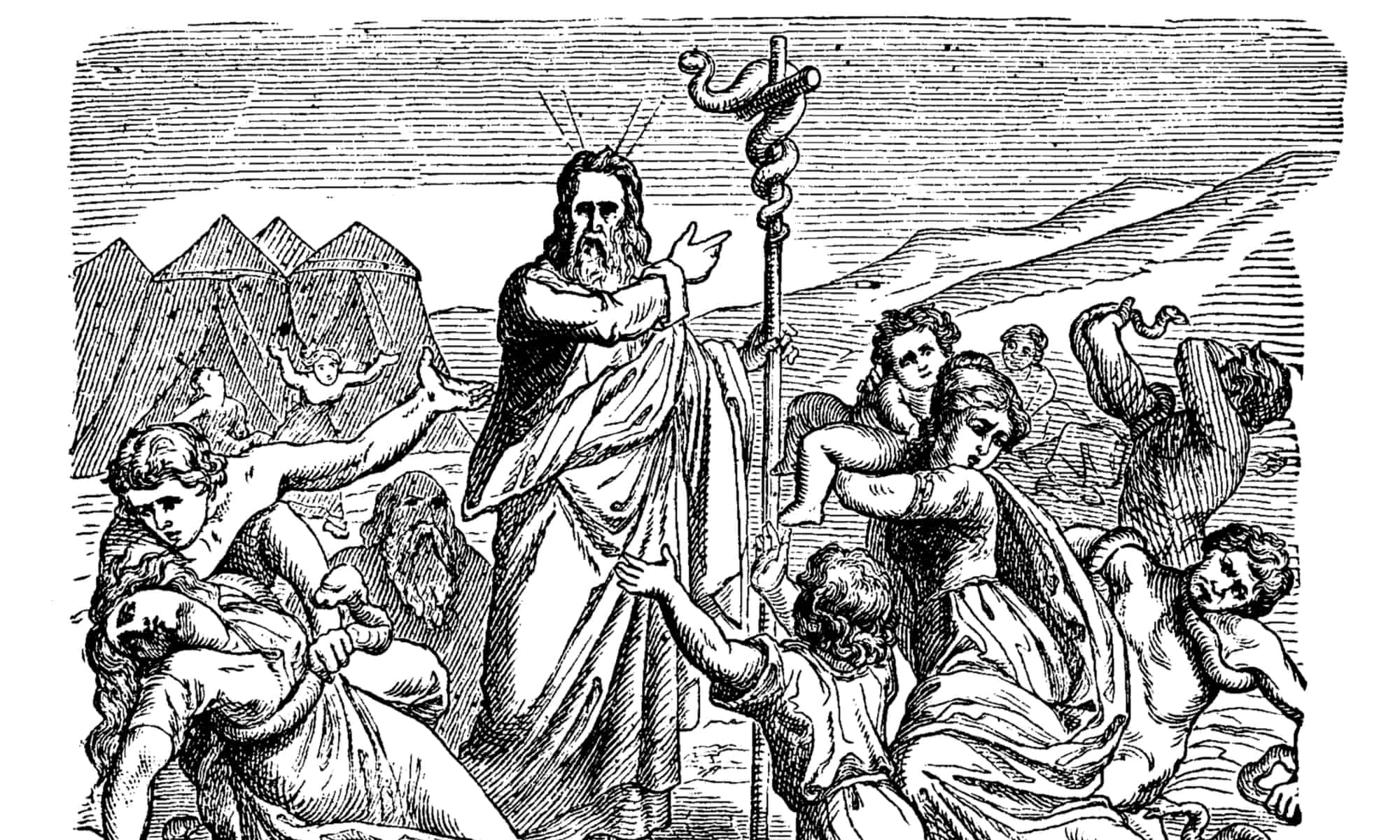 The Most Famous Snakes, From the Bible to Harry Potter - A-Z Animals