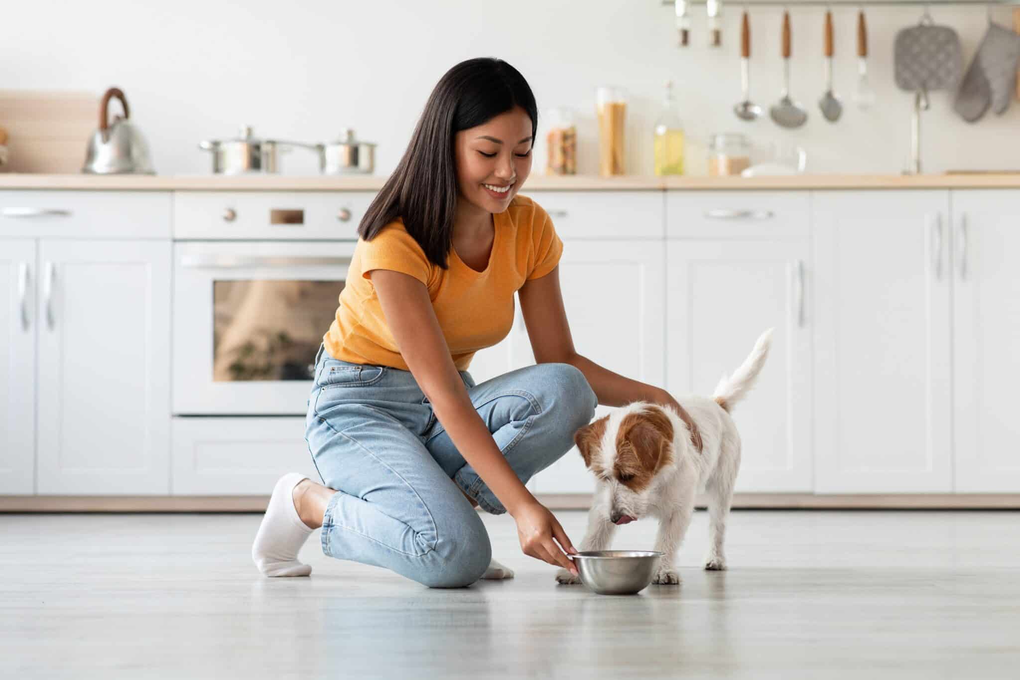 Can Dogs Eat Ginger, Should They? - A-Z Animals