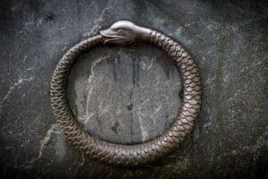 The Most Famous Snakes, From the Bible to Harry Potter - A-Z Animals