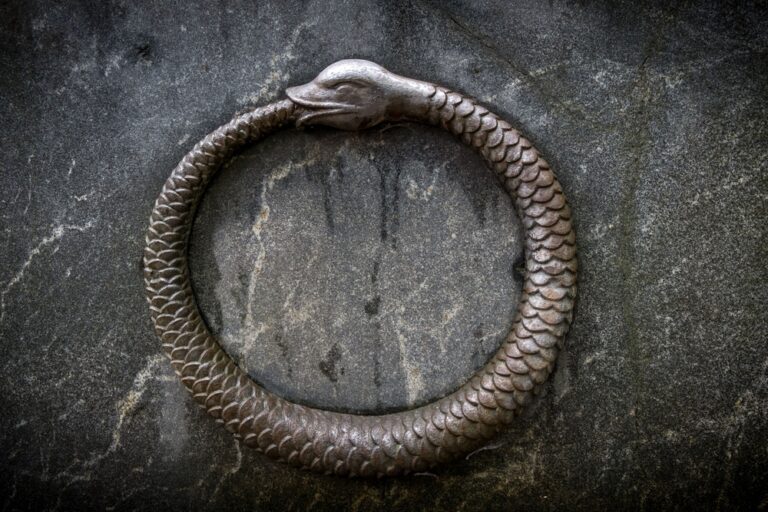 The Most Famous Snakes, From the Bible to Harry Potter - A-Z Animals