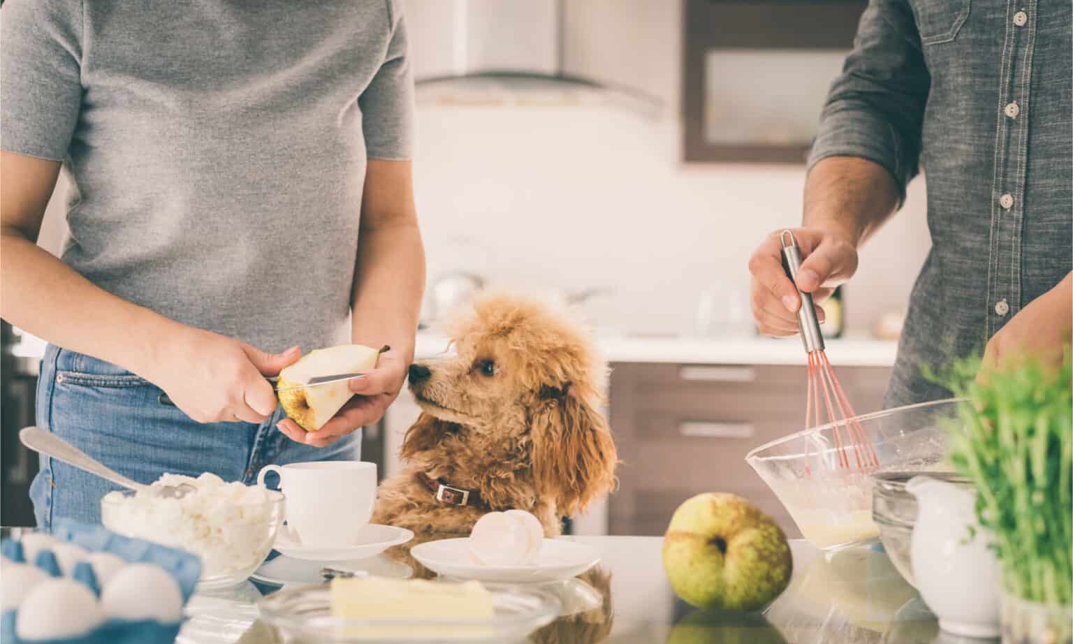 Nature’s Chefs: 8 Animals that Prepare Their Food - A-Z Animals