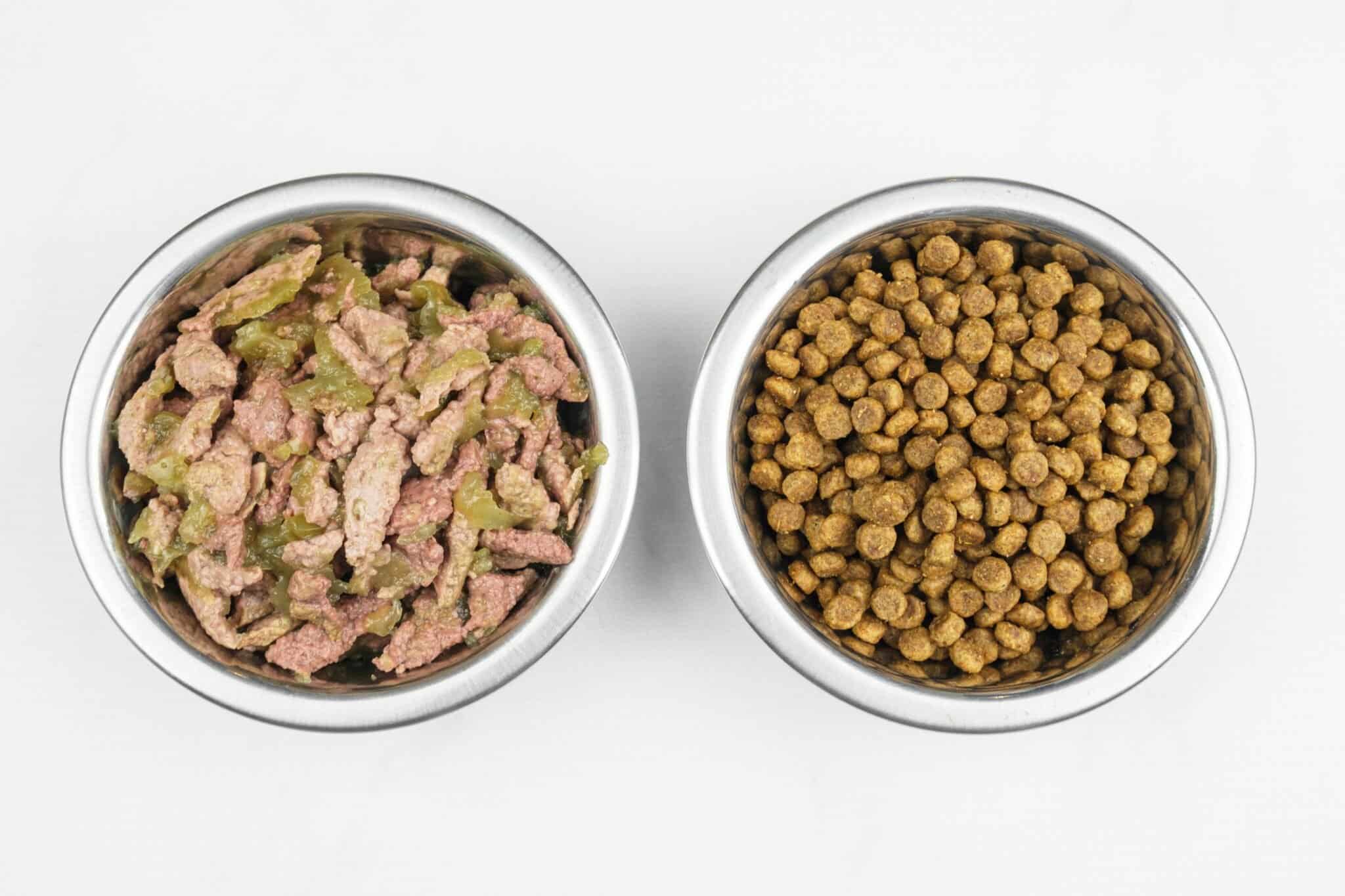 Cavapoo Prices in 2024: Purchase Cost, Vet Bills, and More! - A-Z Animals