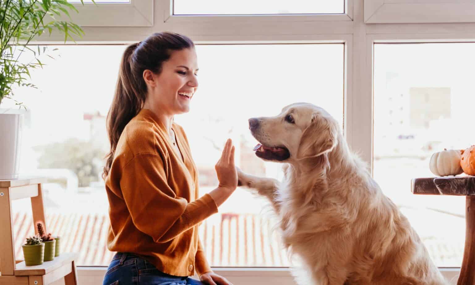 From Crows to Parrots: Eight Birds That Talk - A-Z Animals