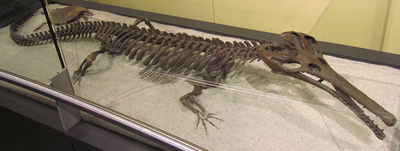 Discover 8 Extinct Animals That Lived in North Dakota - A-Z Animals
