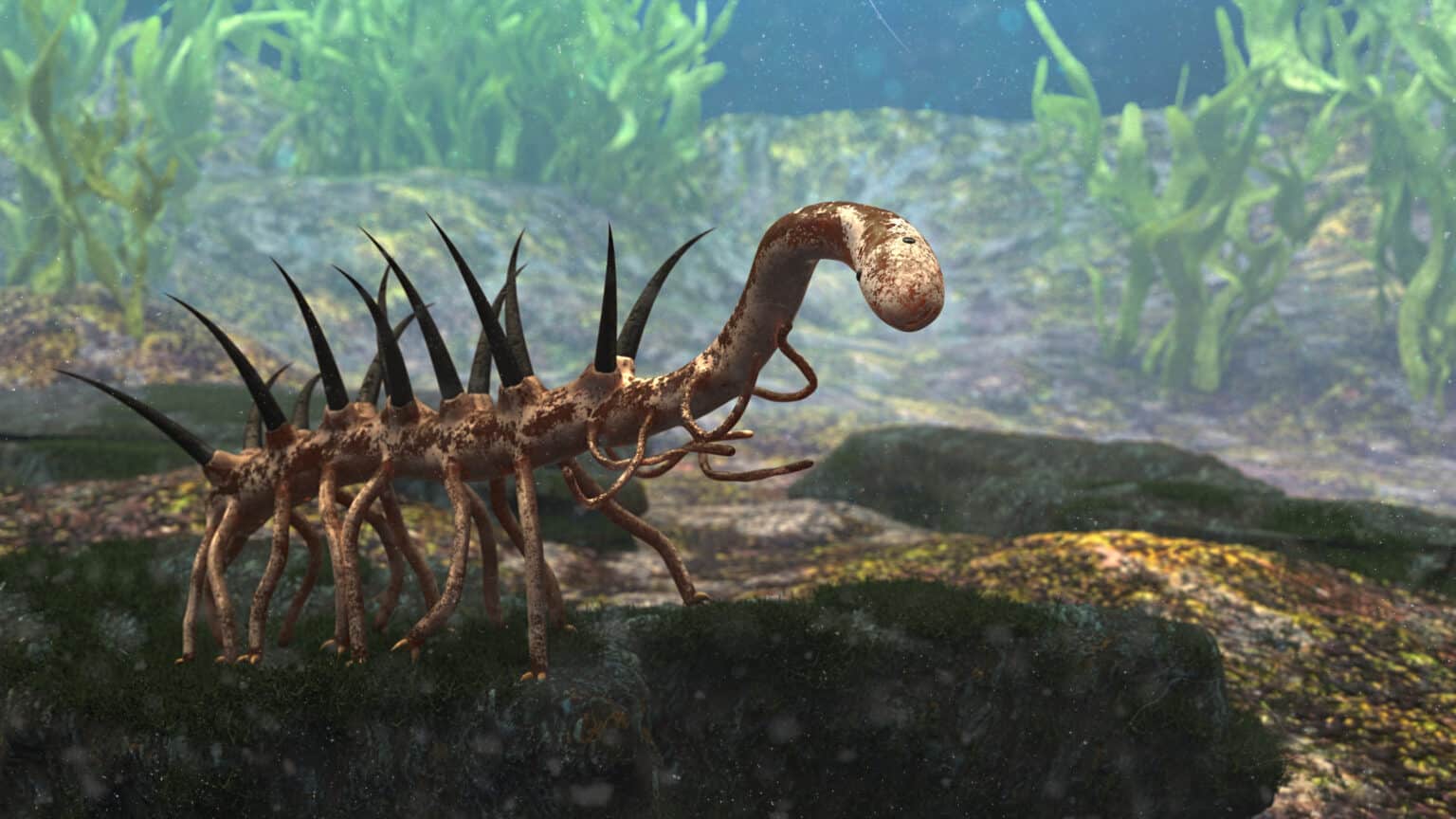 Discover the Crazy ‘Walking Worm’ With a Spiked Back 500 Million Years ...