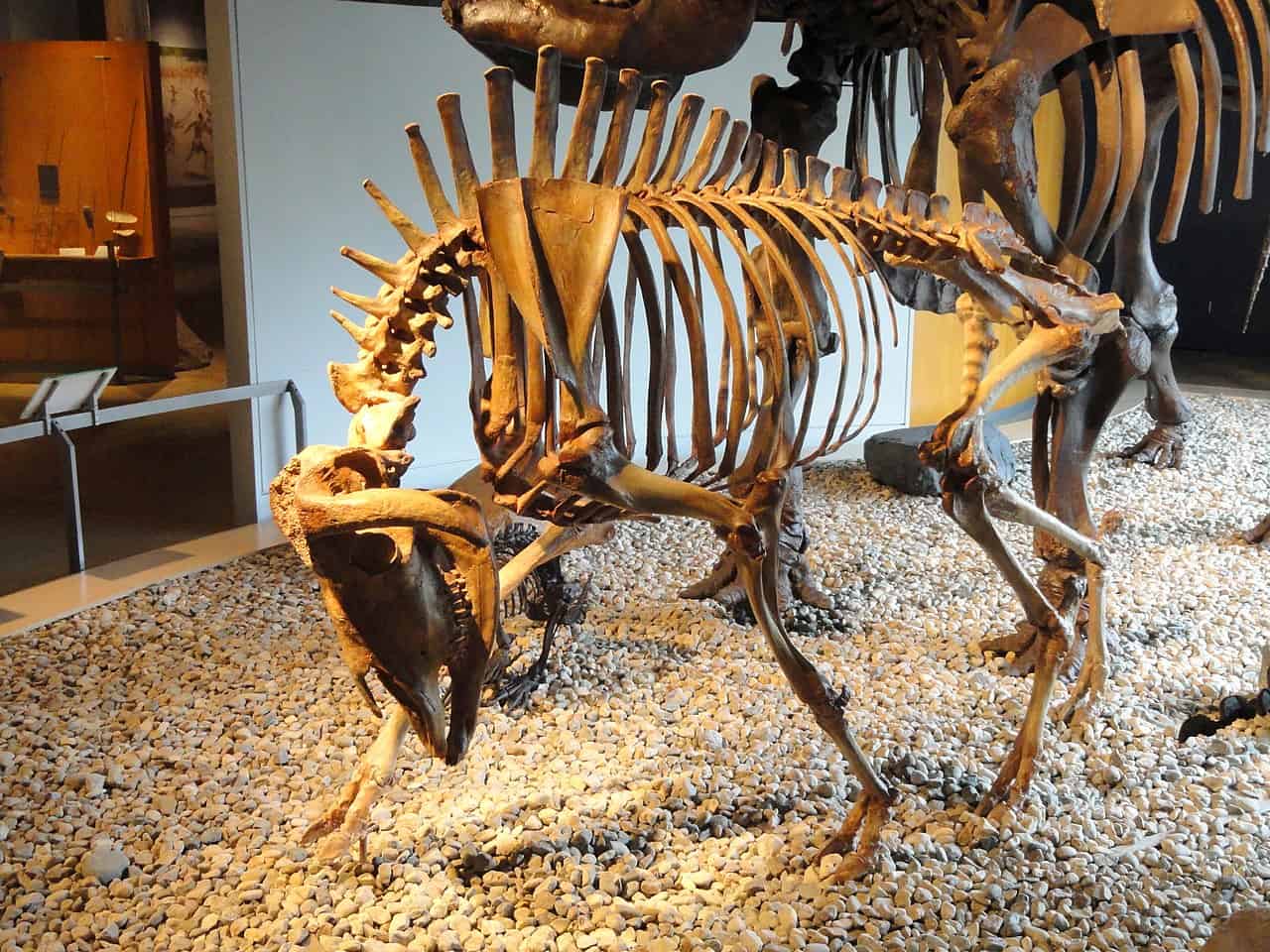 Dinosaurs that Lived in Michigan (And Where to See Fossils Today) - A-Z ...
