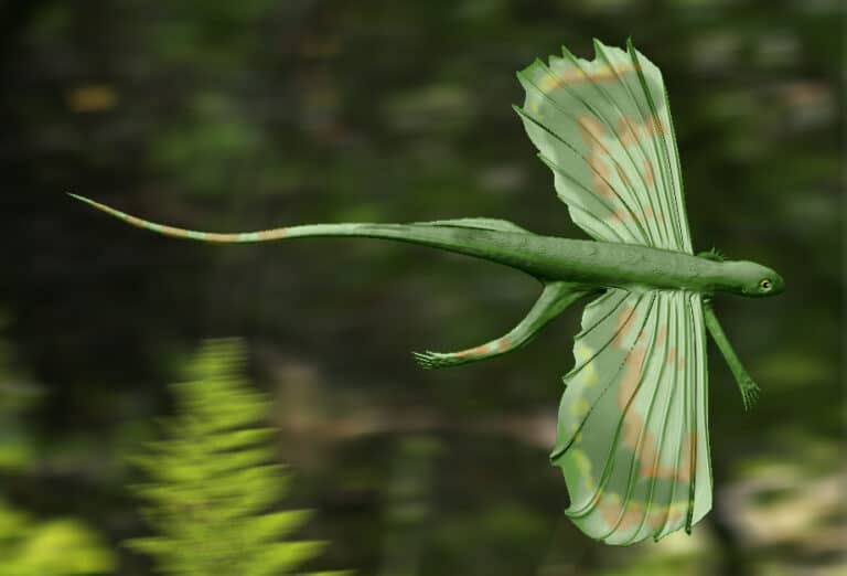 5 Dinosaurs That Lived in New Jersey (And Where to See Fossils Today ...