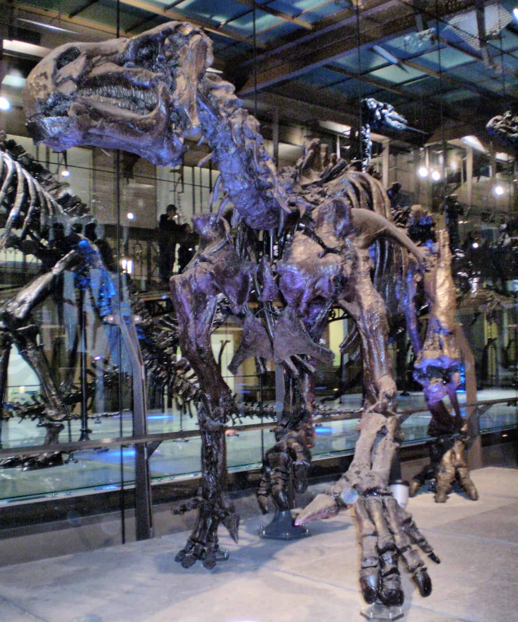 Iguanodon Animal Facts - Iguanodon - A-Z Animals
