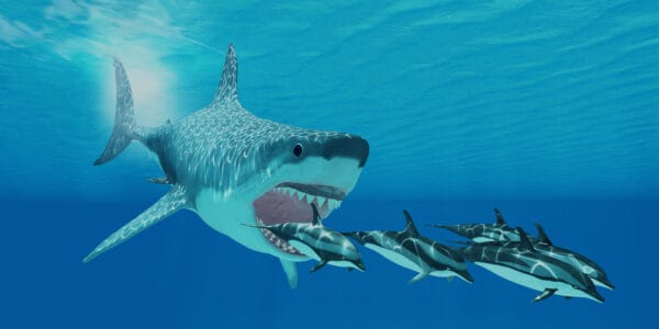 8 Extinct Ocean Animals - A-Z Animals